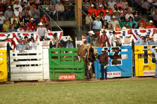 Scenes Of The 2012 Pendleton Round Up From Hot Rod Cowgirl! | Hot Rod ...